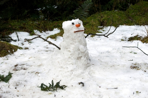 Closest snow to Melbourne –… | Visit Yarra Valley & Dandenong Ranges