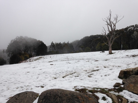 Closest snow to Melbourne –… | Visit Yarra Valley & Dandenong Ranges