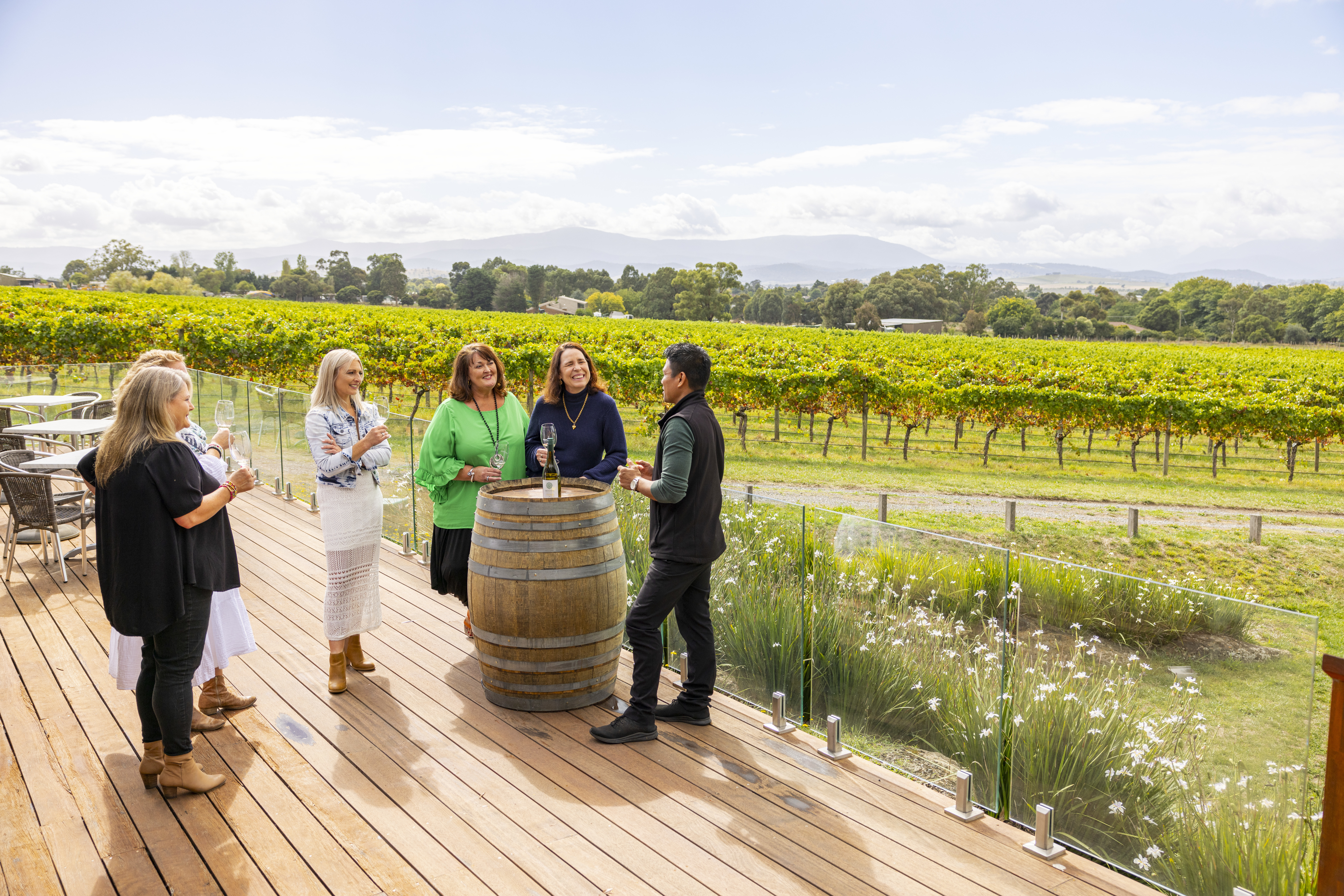 Ada Tree Walk | Visit Yarra Valley & Dandenong Ranges