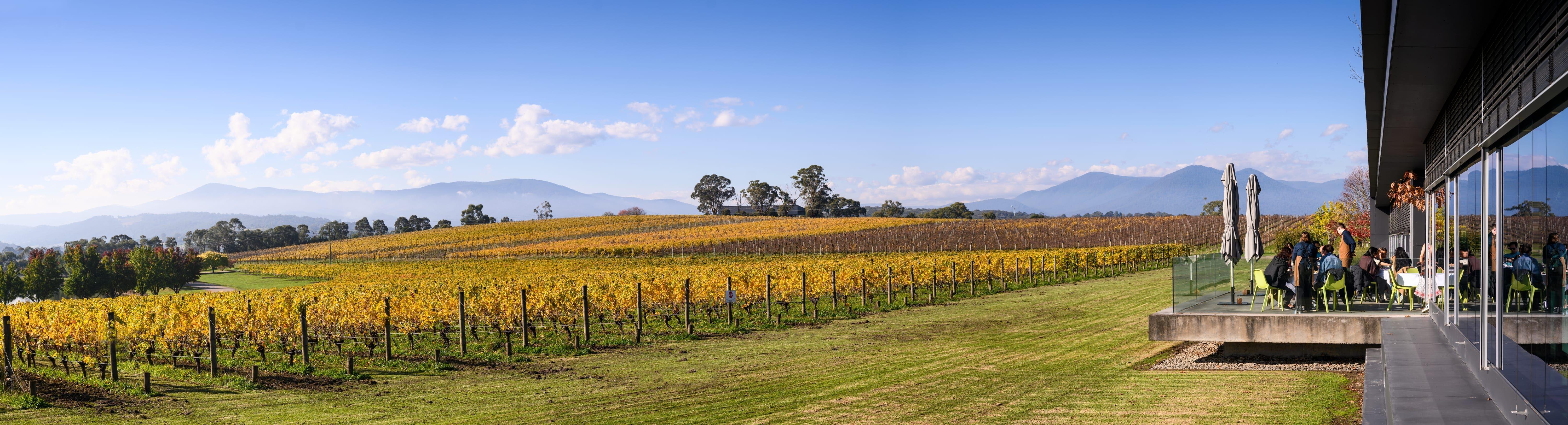 Olinda Spring Water | Visit Yarra Valley & Dandenong Ranges