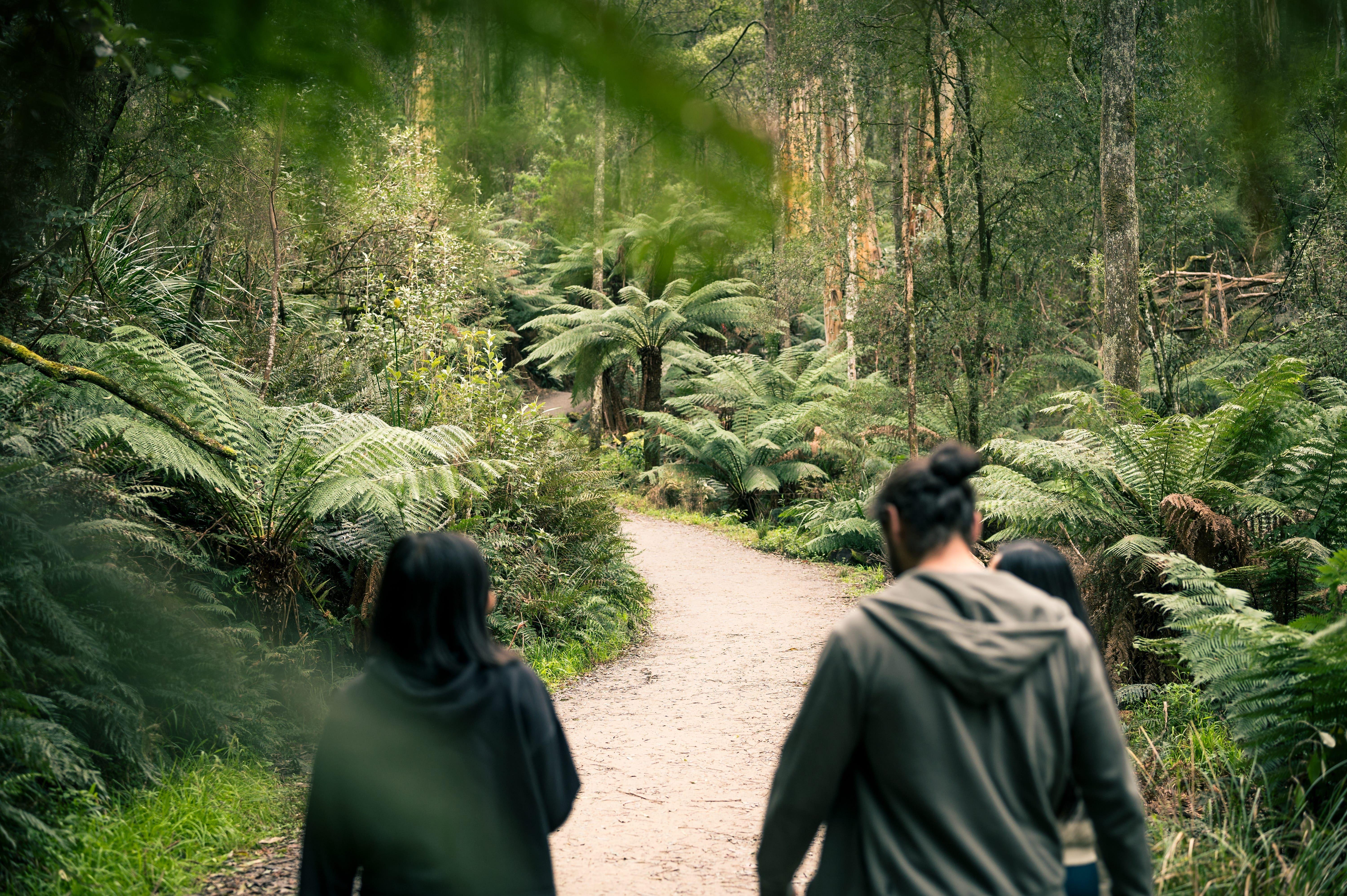 Monbulk | Visit Yarra Valley & Dandenong Ranges