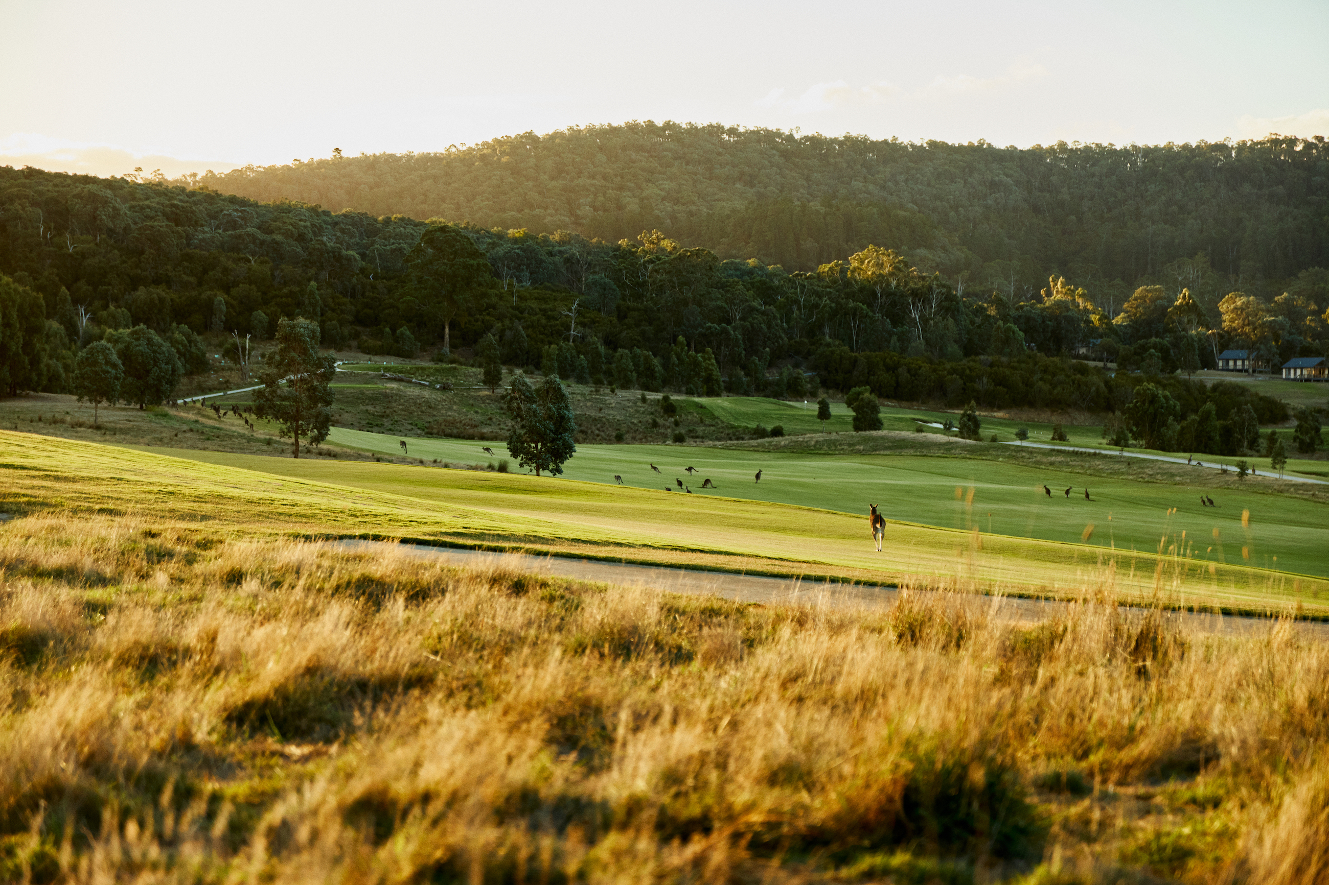 Olinda Spring Water | Visit Yarra Valley & Dandenong Ranges