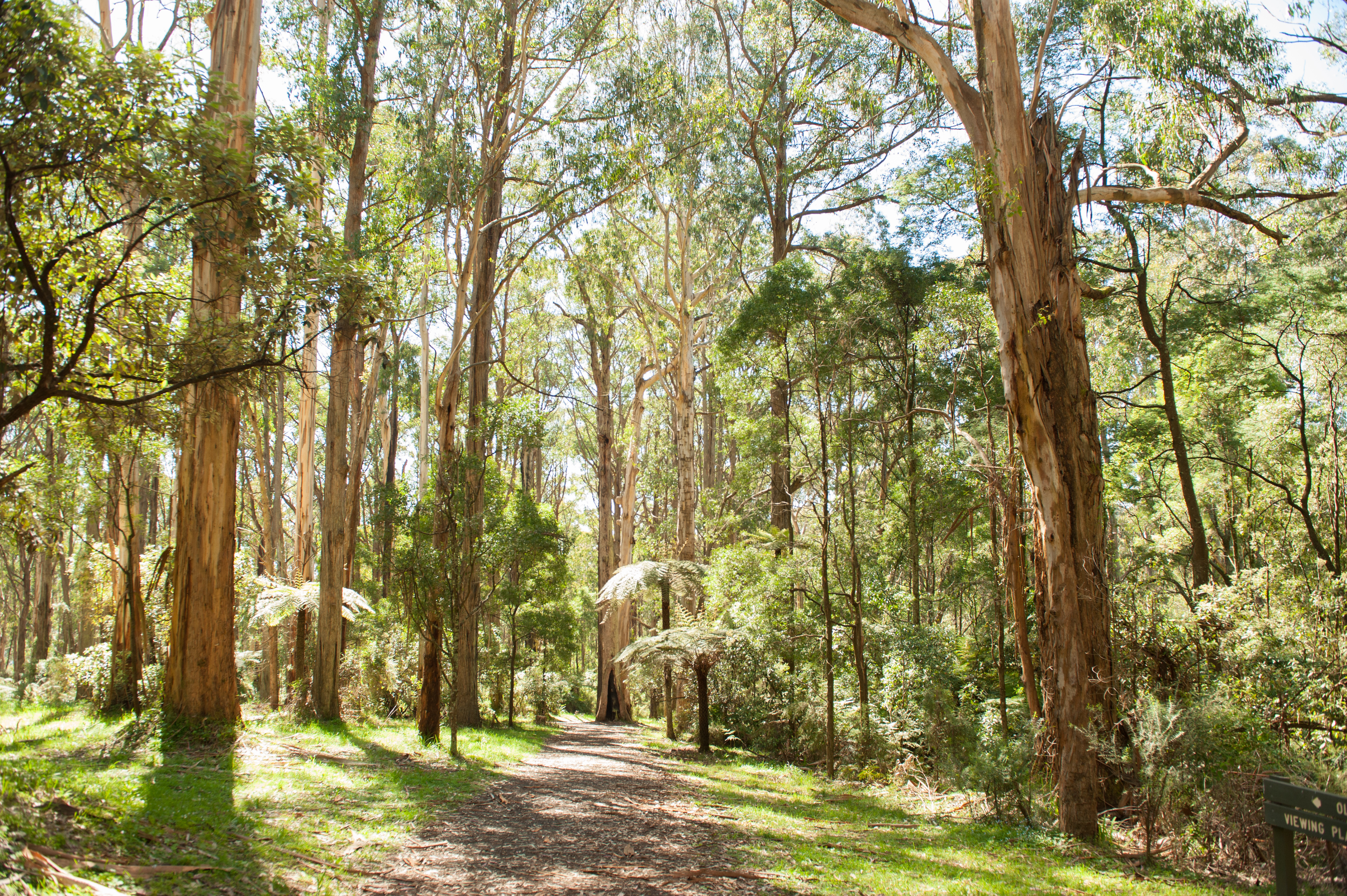 Olinda | Visit Yarra Valley & Dandenong Ranges