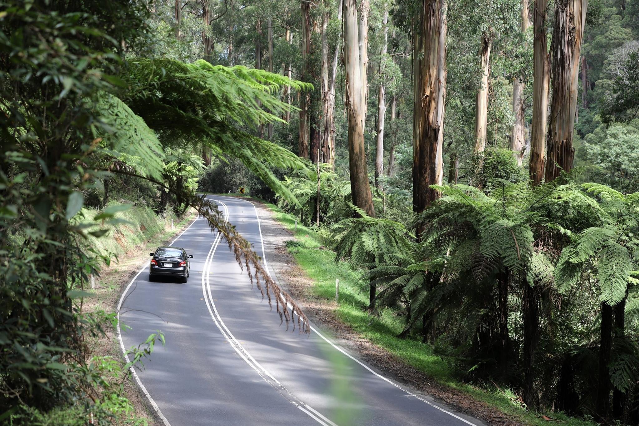 Olinda Spring Water | Visit Yarra Valley & Dandenong Ranges