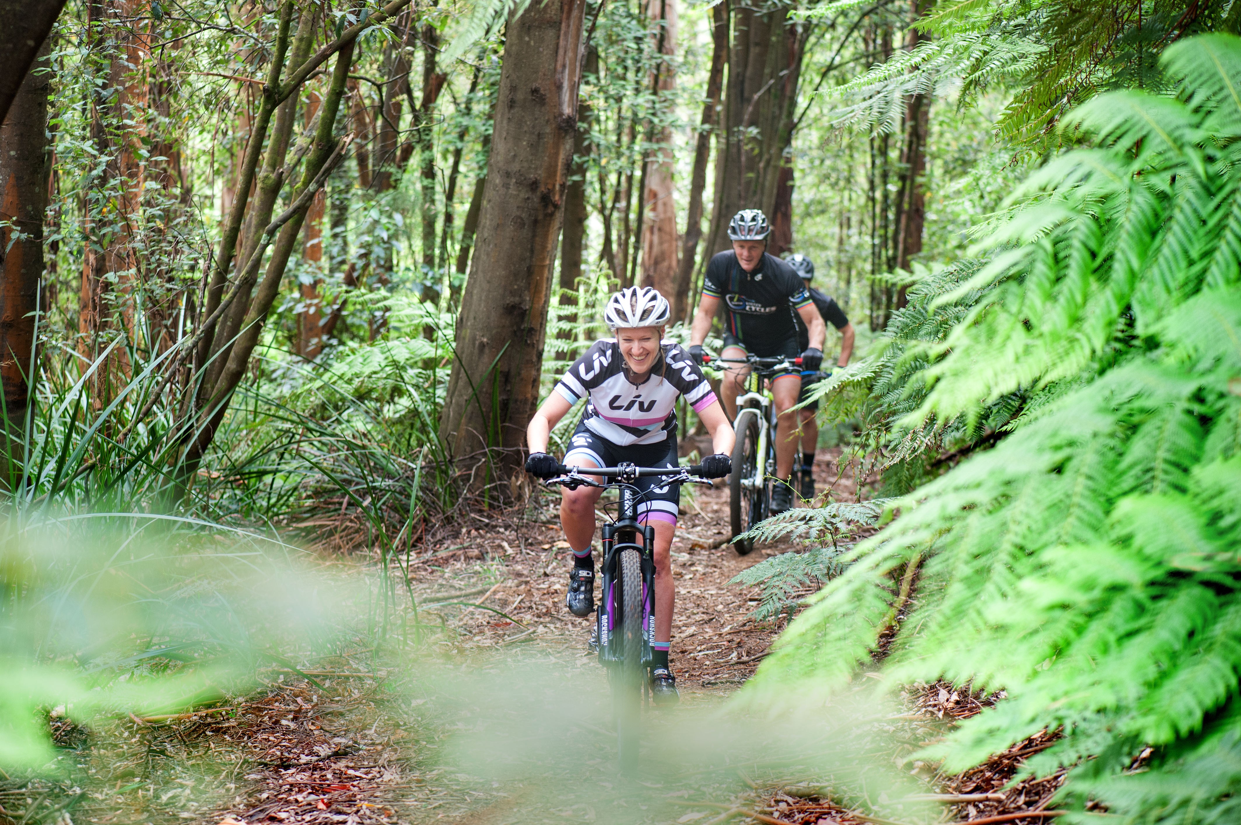 Olinda Spring Water | Visit Yarra Valley & Dandenong Ranges