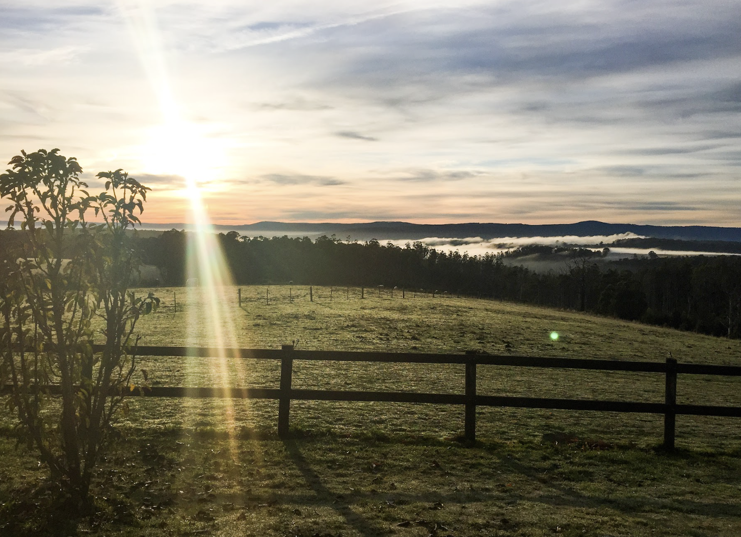 Kinglake | Visit Yarra Valley & Dandenong Ranges