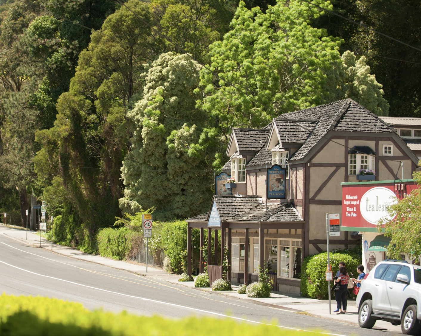 Sassafras | Visit Yarra Valley & Dandenong Ranges