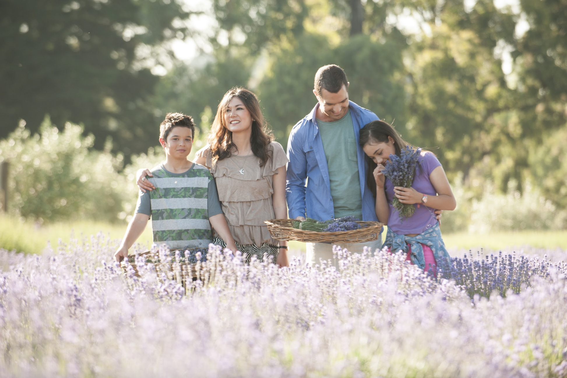 Wandin North | Visit Yarra Valley & Dandenong Ranges