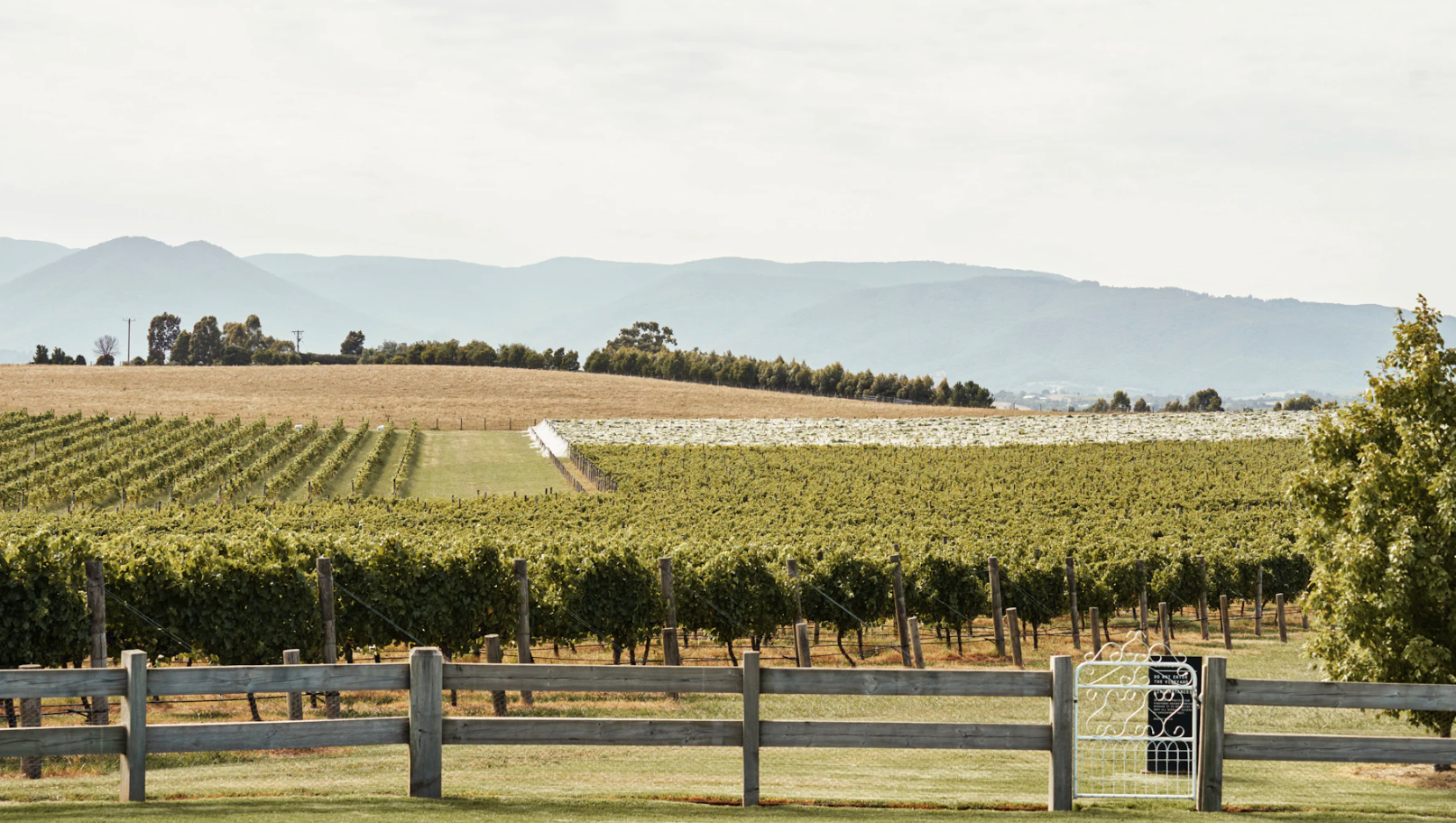 Olinda Spring Water | Visit Yarra Valley & Dandenong Ranges