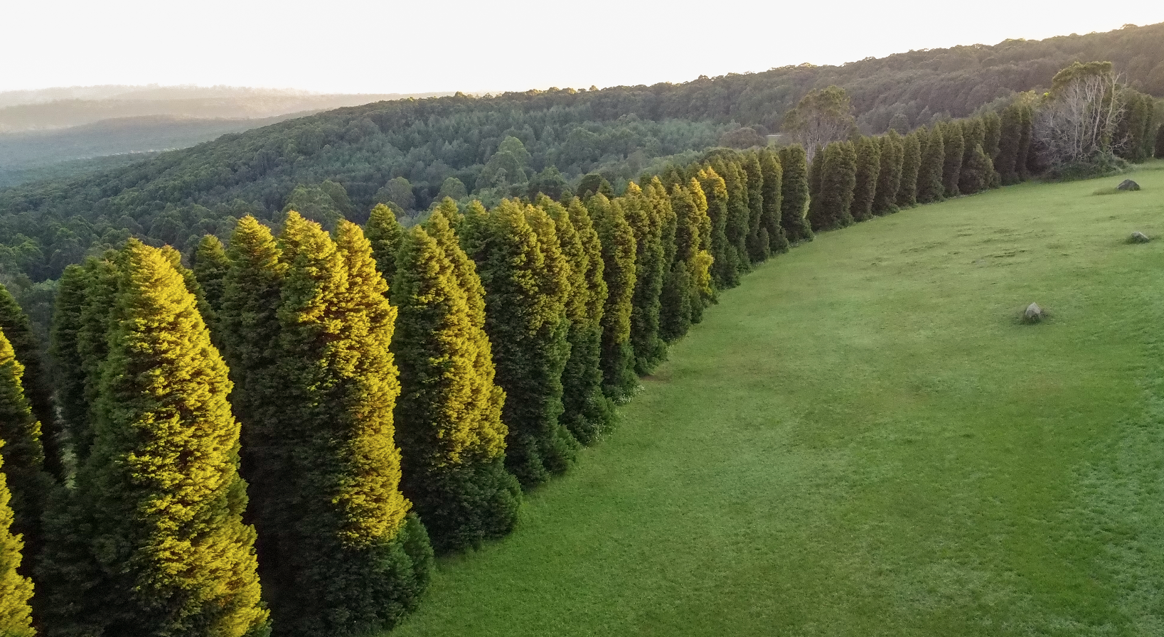 Launching Place | Visit Yarra Valley & Dandenong Ranges