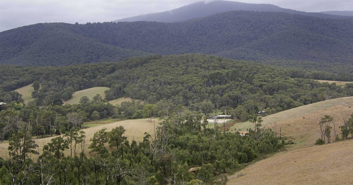 Chum Creek | Visit Yarra Valley & Dandenong Ranges