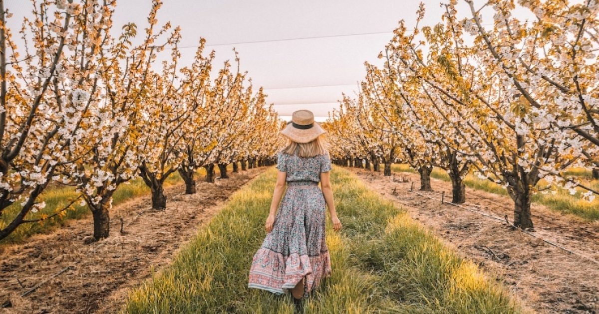 Top Tik Tok and Instagrammable Gardens this Spring
