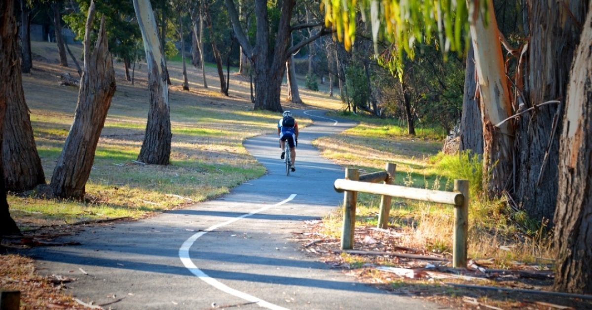 Eltham & surrounds | Visit Yarra Valley & Dandenong Ranges