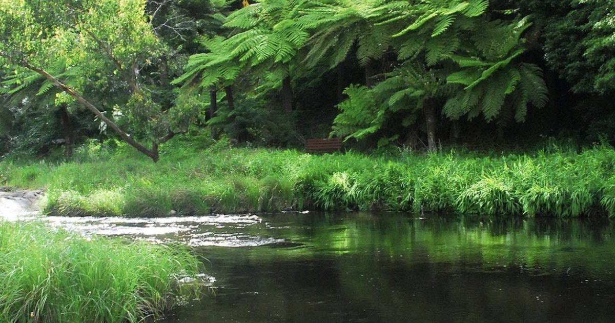 Glamp and camp in the Yarra… | Visit Yarra Valley & Dandenong Ranges