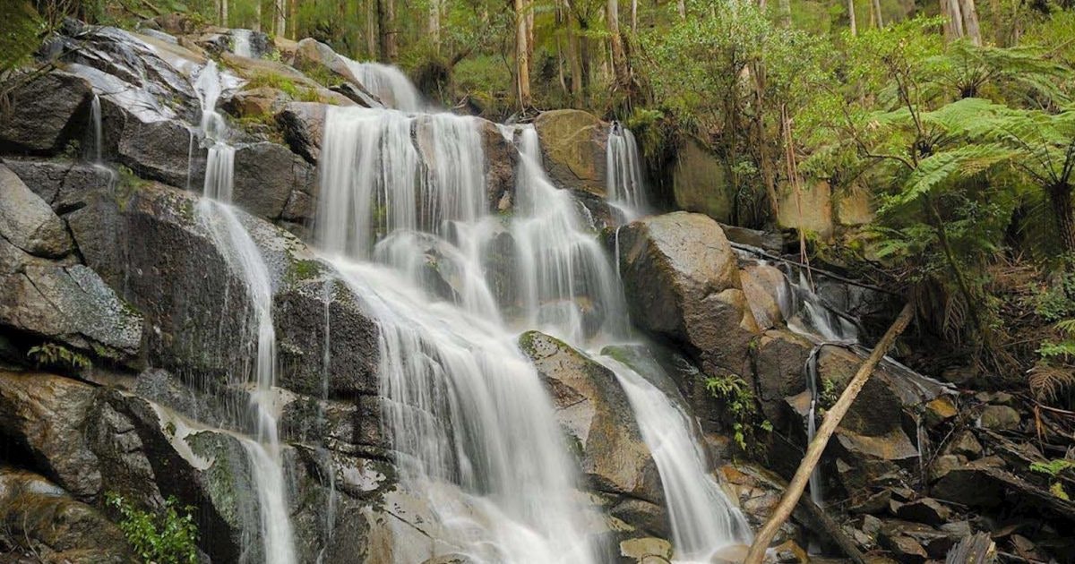 Toorongo Falls Reserve - Katherine Hill Noojee