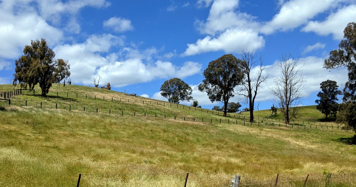 Hidden Gems of Hurstbridge &… | Visit Yarra Valley & Dandenong Ranges