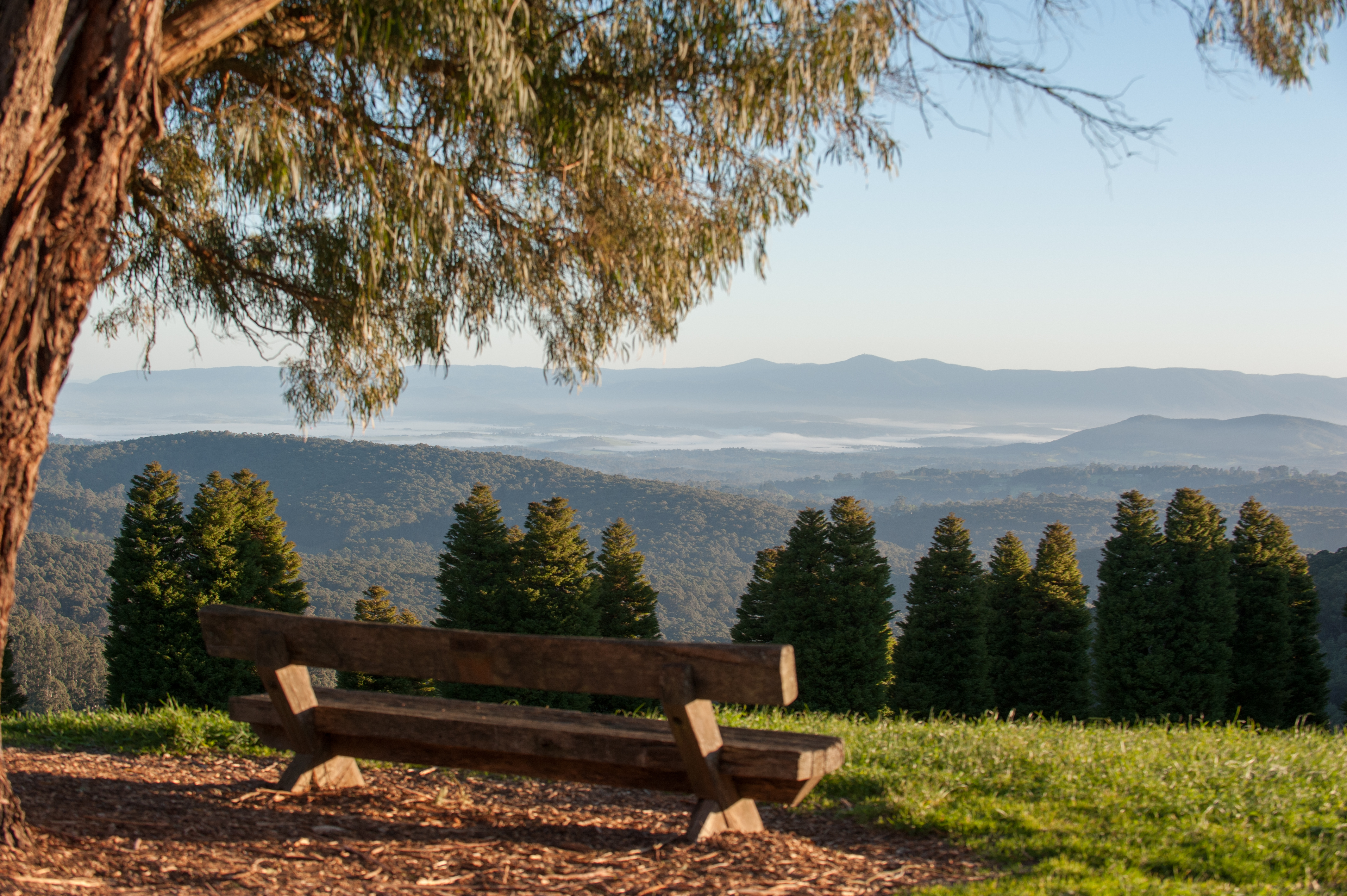 Olinda Spring Water | Visit Yarra Valley & Dandenong Ranges