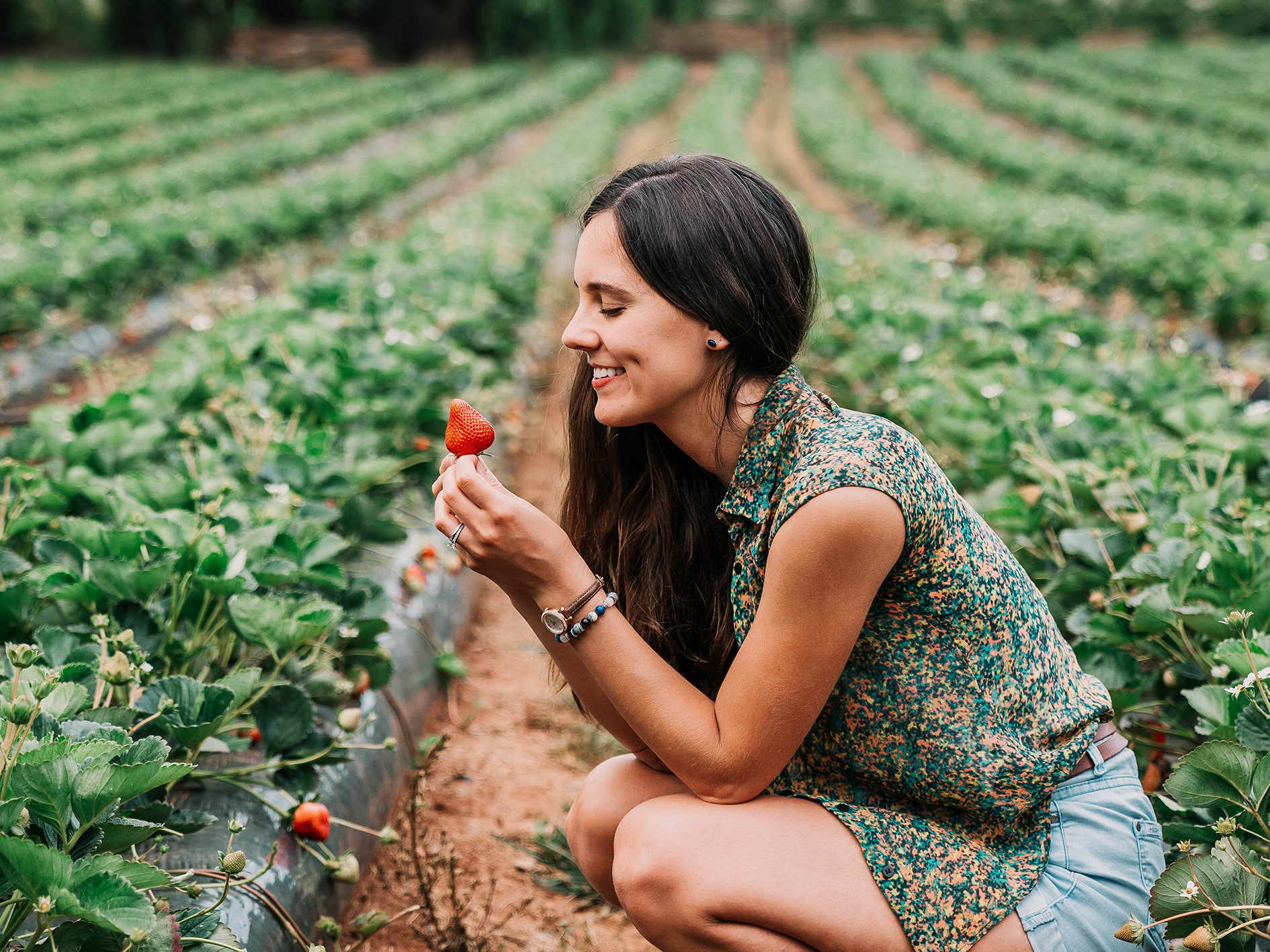 Warburton Valley | Visit Yarra Valley & Dandenong Ranges