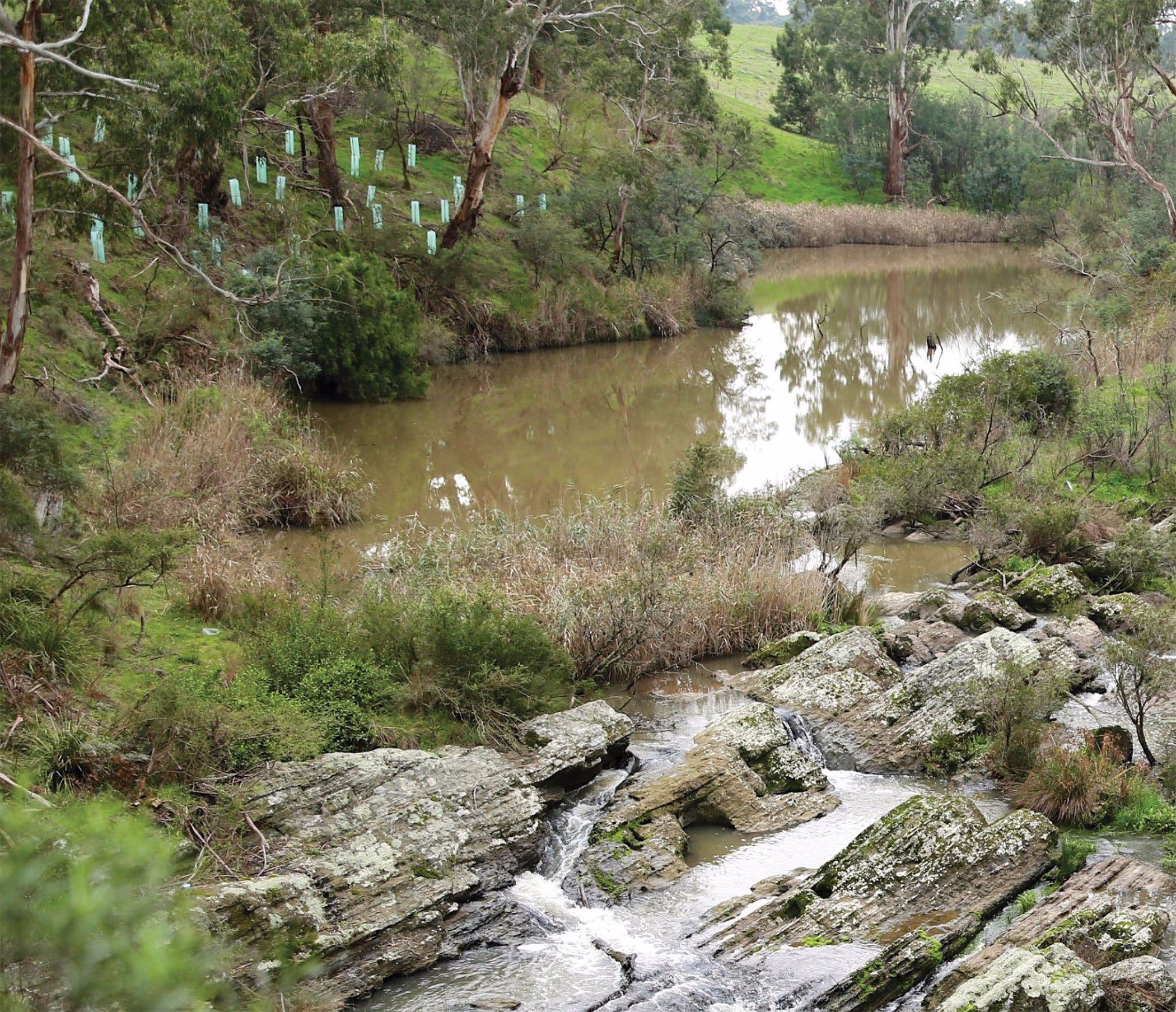 Yarrambat Park | Visit Yarra Valley & Dandenong Ranges