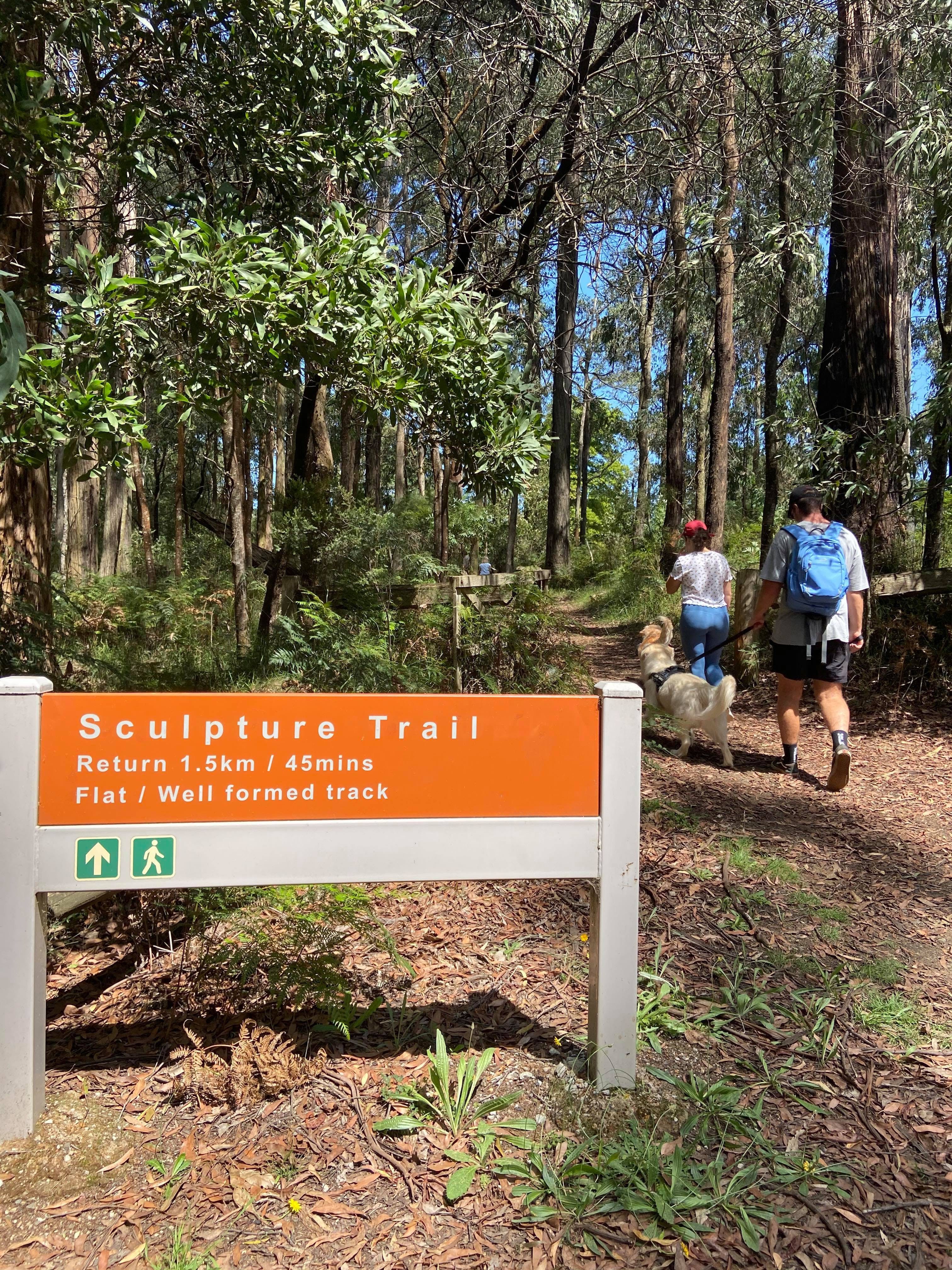 Toolangi | Visit Yarra Valley & Dandenong Ranges