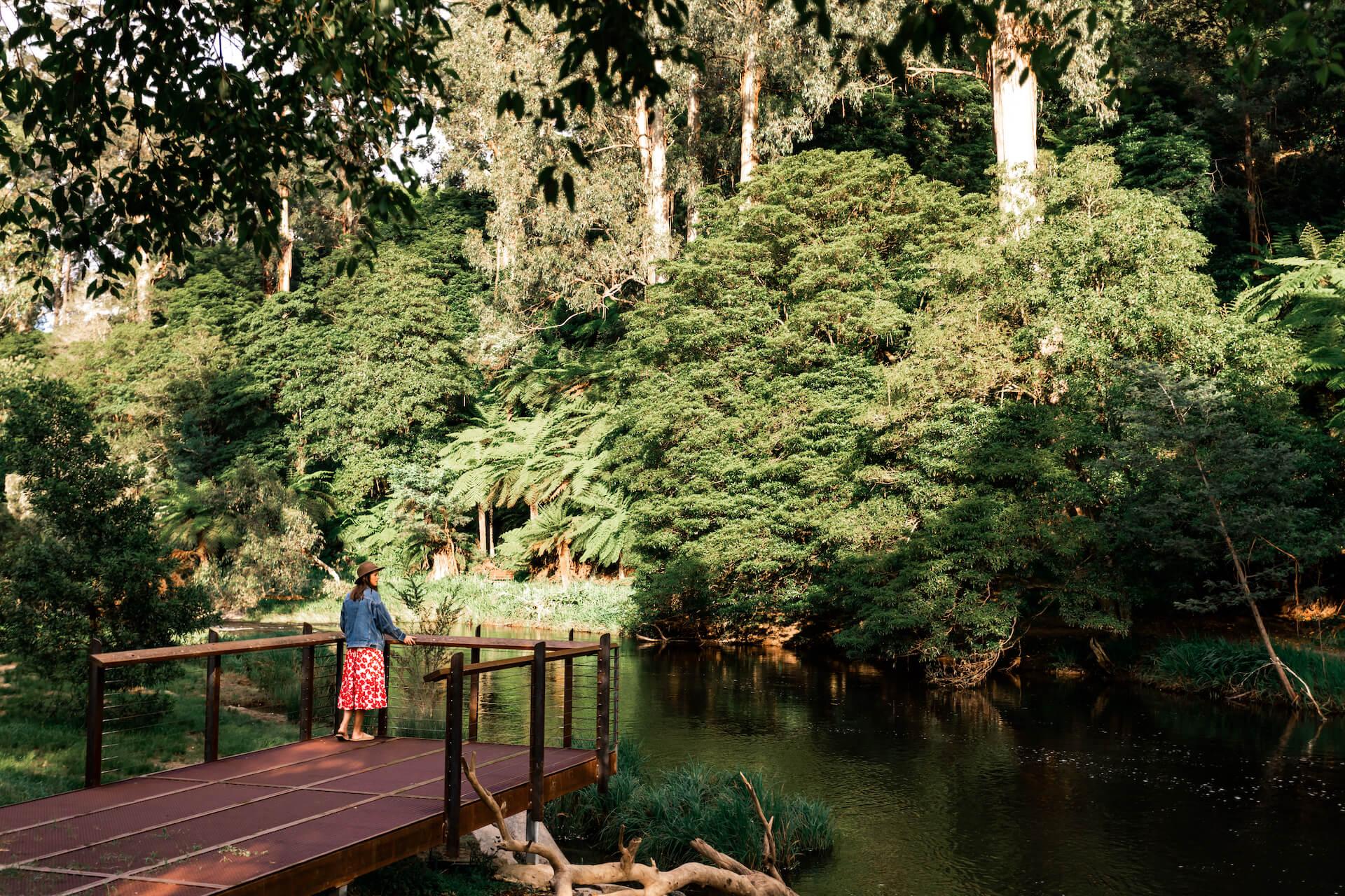 Warburton Circuit Walk | Visit Yarra Valley & Dandenong Ranges