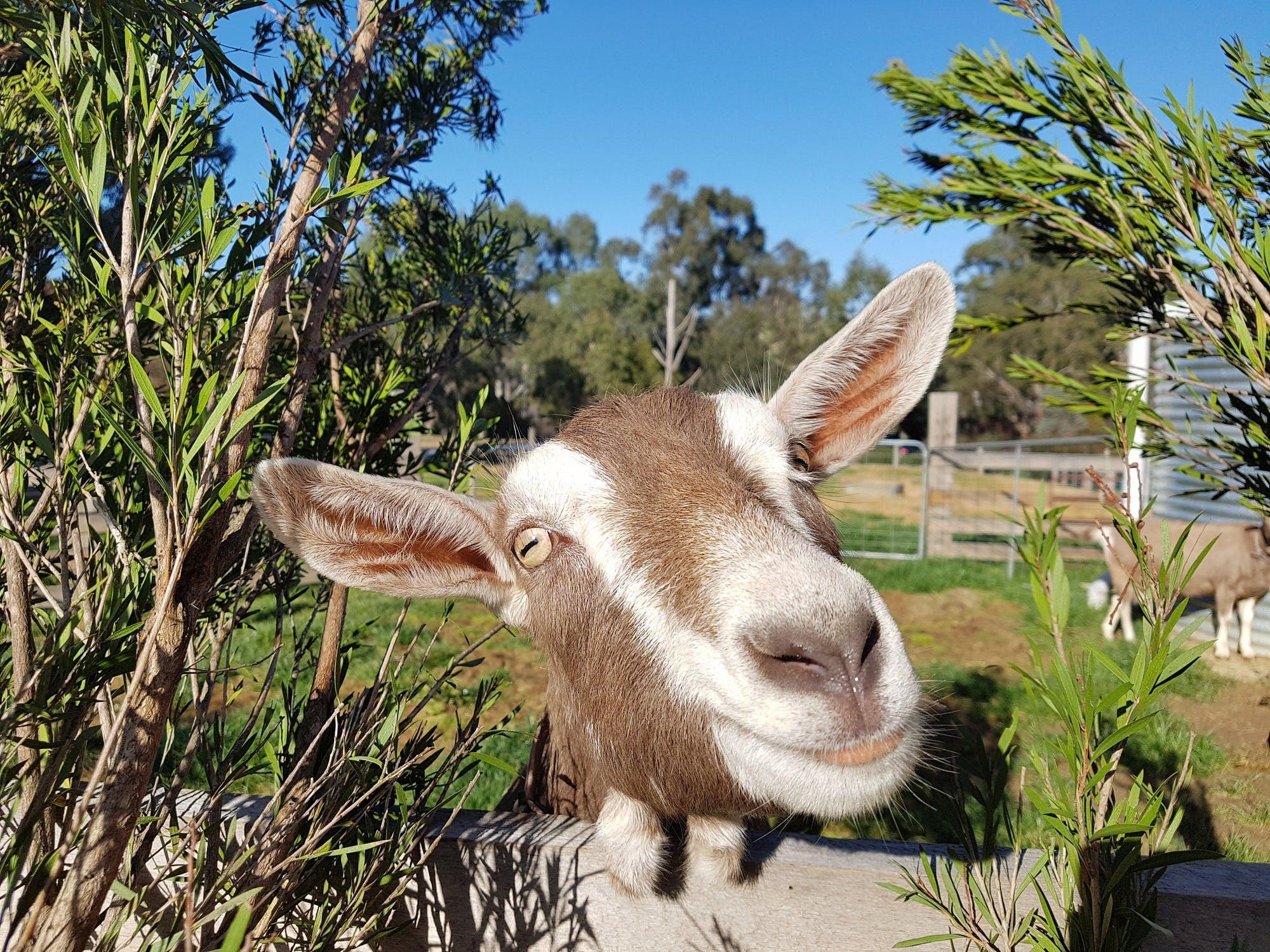 Edendale Community… | Visit Yarra Valley & Dandenong Ranges