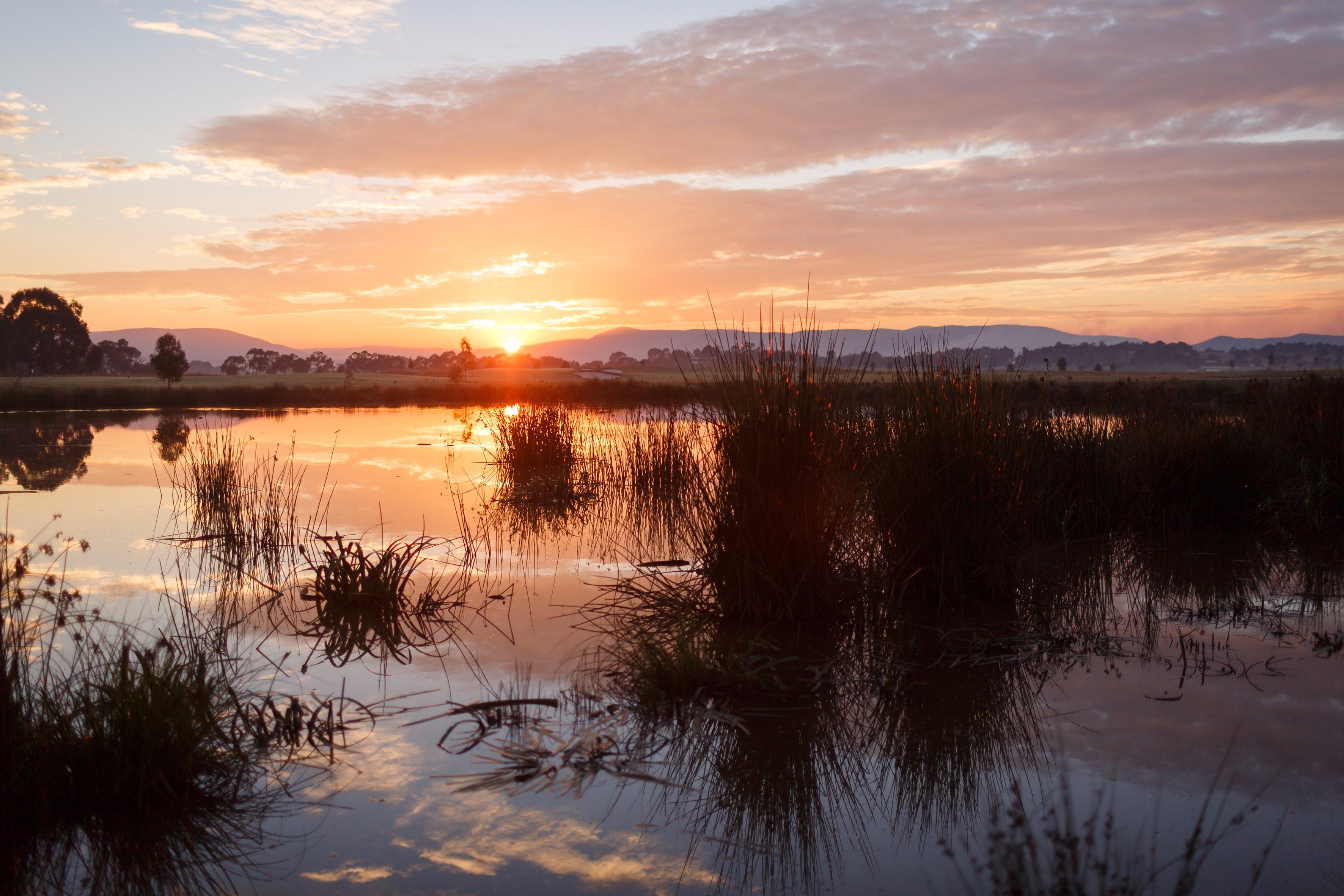 Yering Gorge Cottages | Visit Yarra Valley & Dandenong Ranges