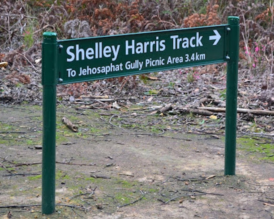 Shelley Harris Track | Visit Yarra Valley & Dandenong Ranges