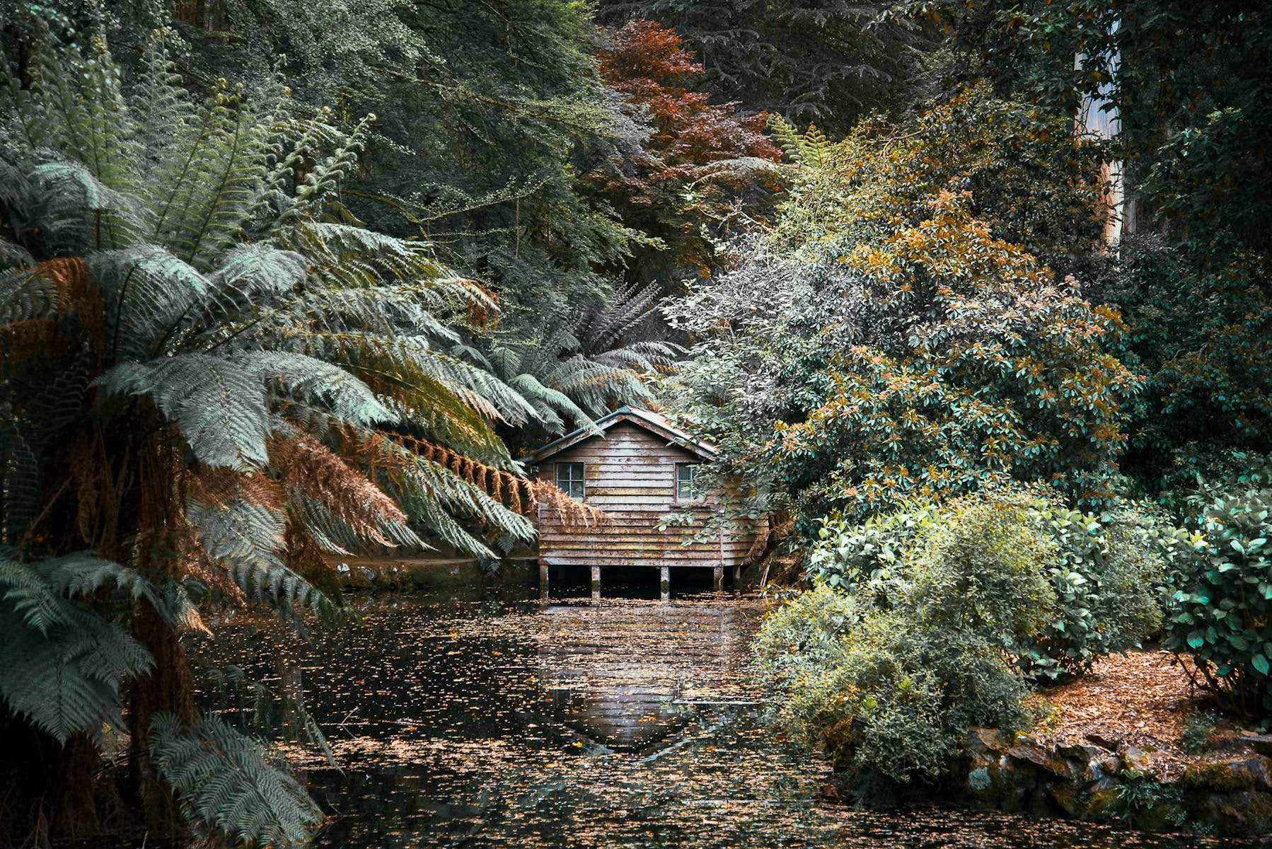 Wild Orchid Olinda | Visit Yarra Valley & Dandenong Ranges