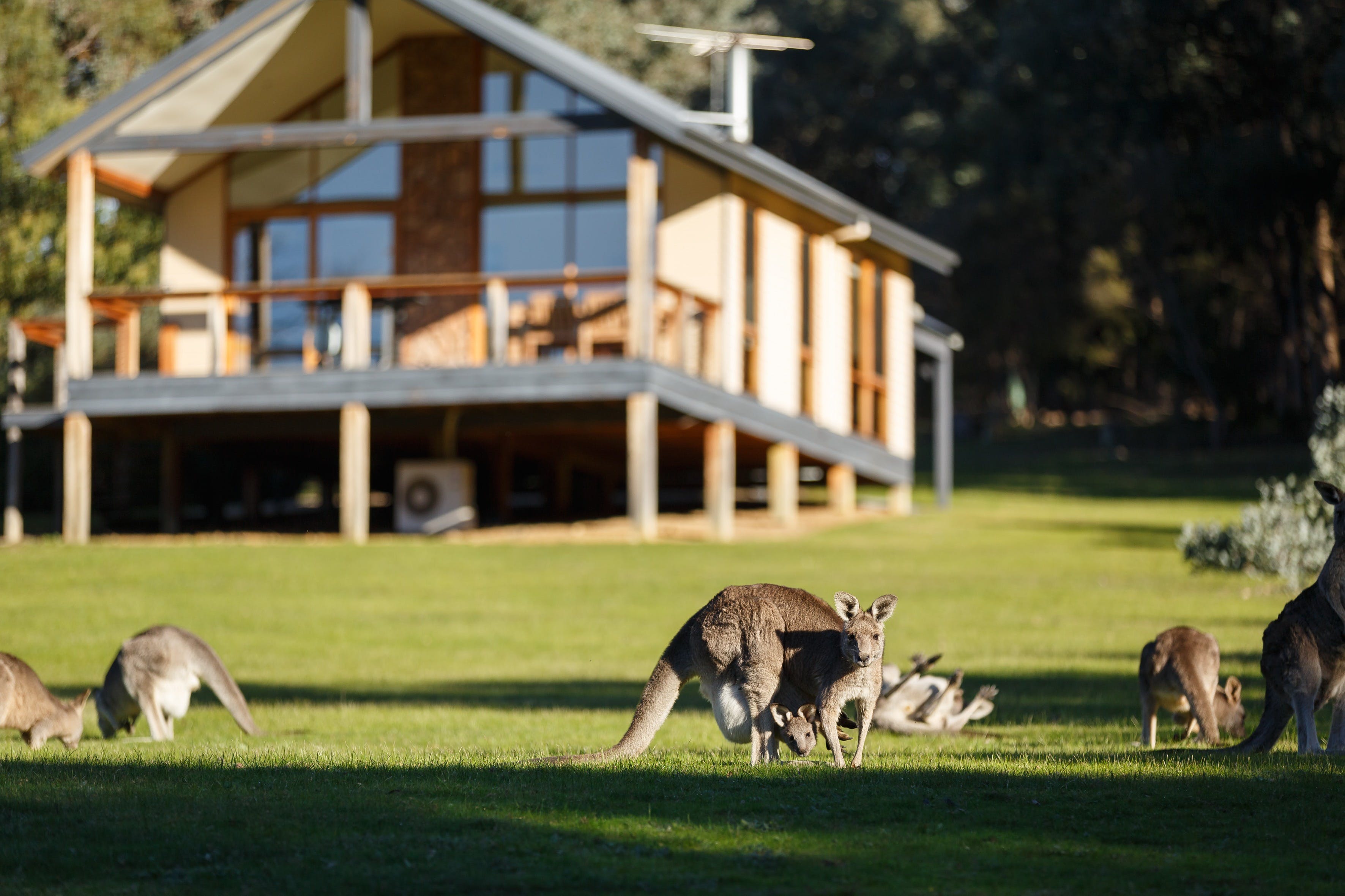 Yering Gorge Cottages | Visit Yarra Valley & Dandenong Ranges