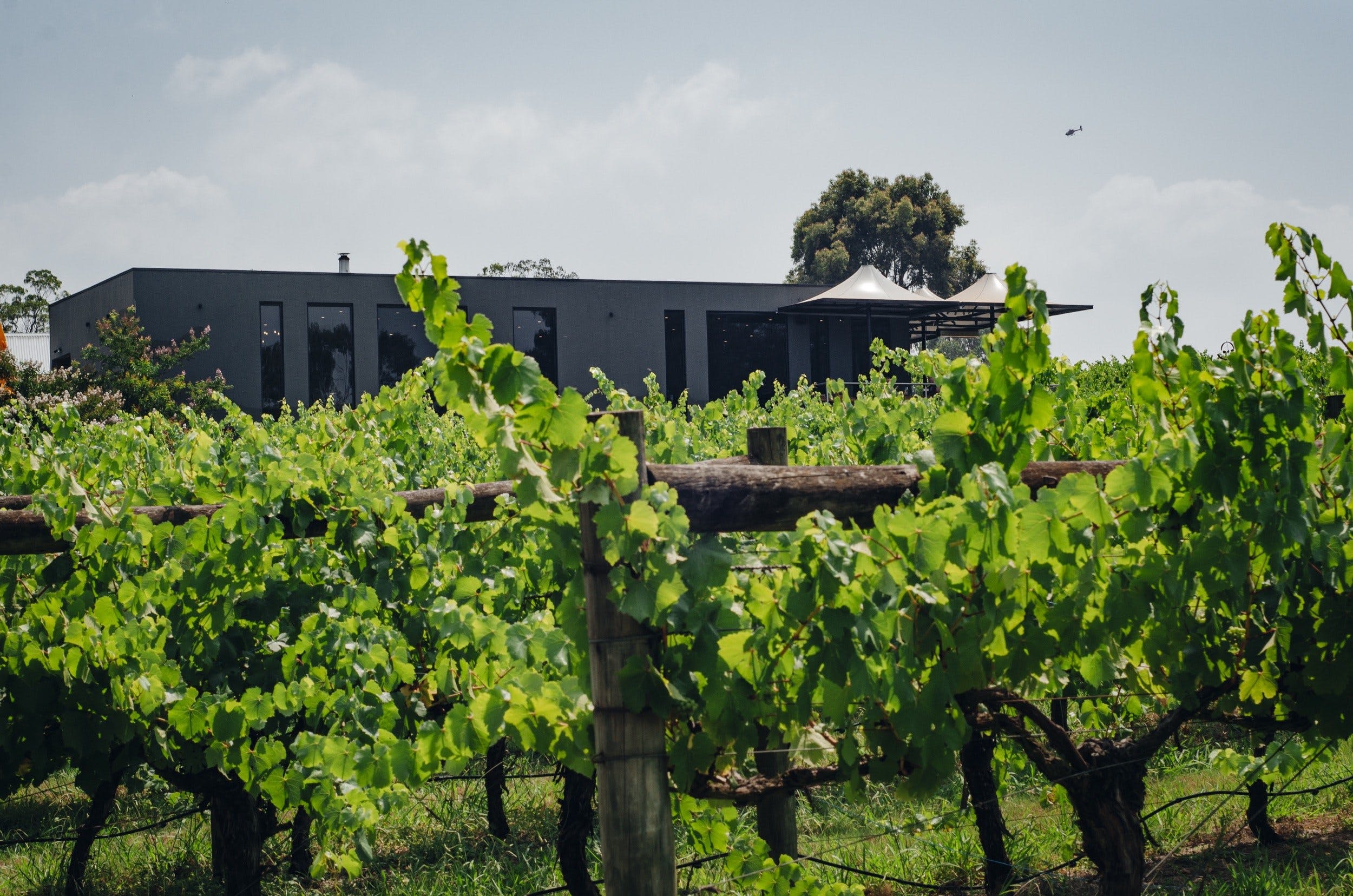 Coldstream | Visit Yarra Valley & Dandenong Ranges