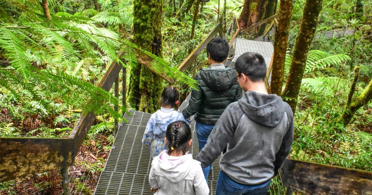 Yarra Ranges National Park | Visit Yarra Valley & Dandenong Ranges