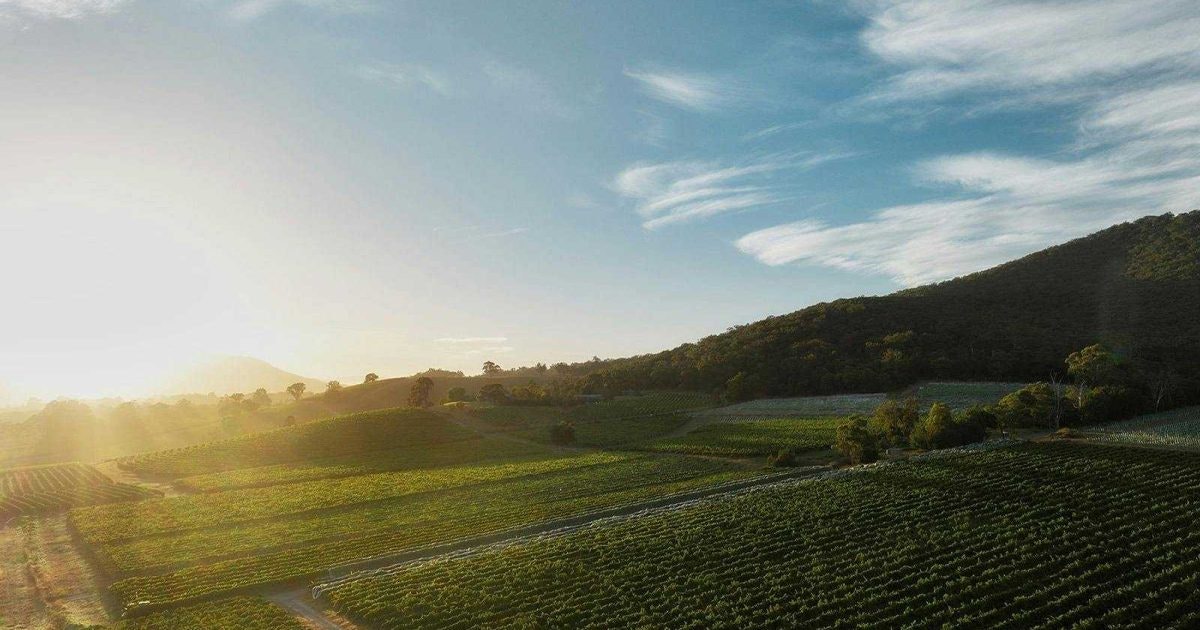 Yarra Yering | Visit Yarra Valley & Dandenong Ranges