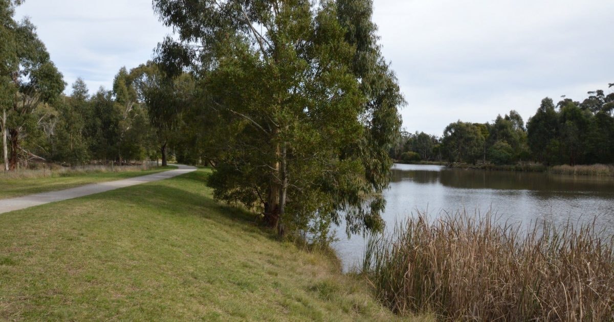 Birdsland Reserve | Visit Yarra Valley & Dandenong Ranges