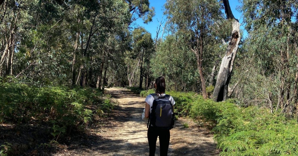 Mt Everard Circuit | Visit Yarra Valley & Dandenong Ranges