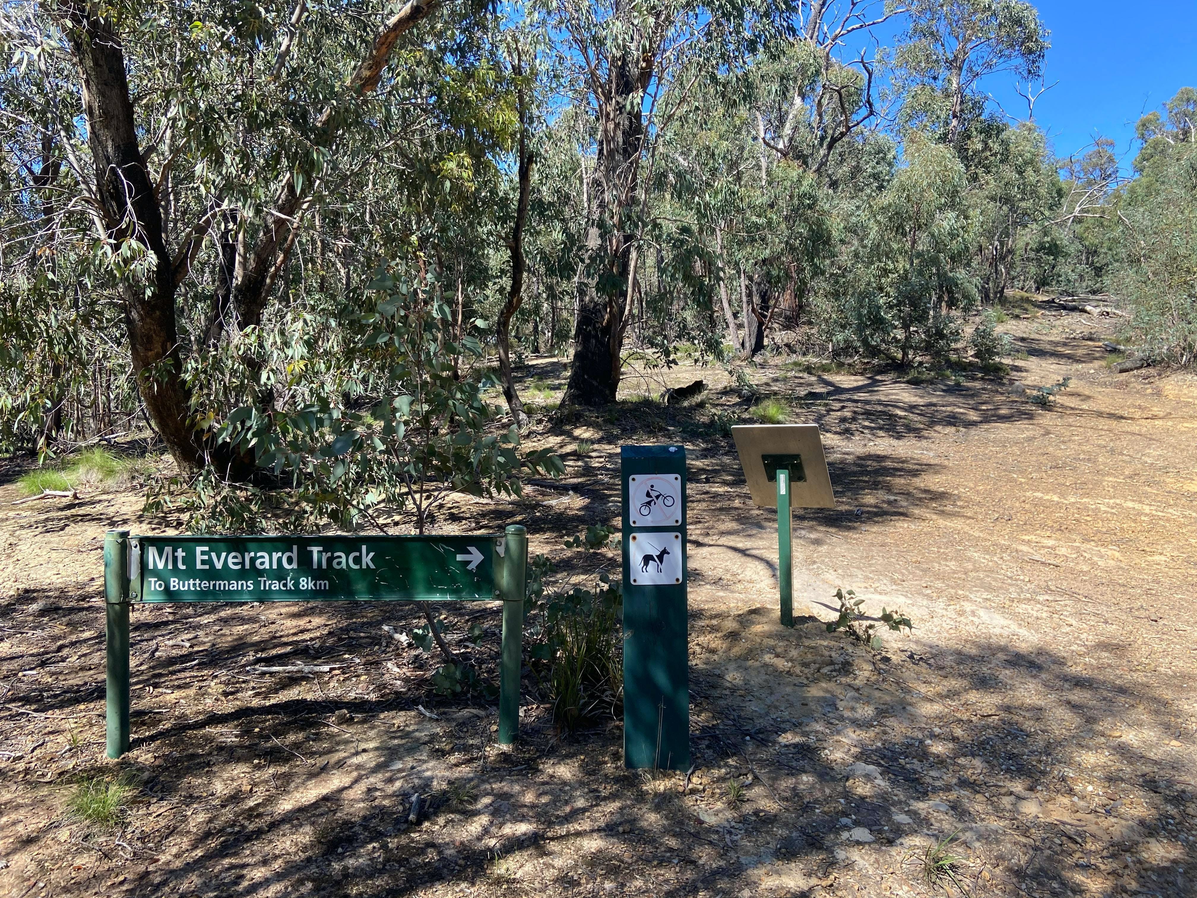 Mt Everard Circuit | Visit Yarra Valley & Dandenong Ranges