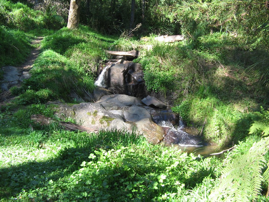 Dolly Grey Park | Visit Yarra Valley & Dandenong Ranges