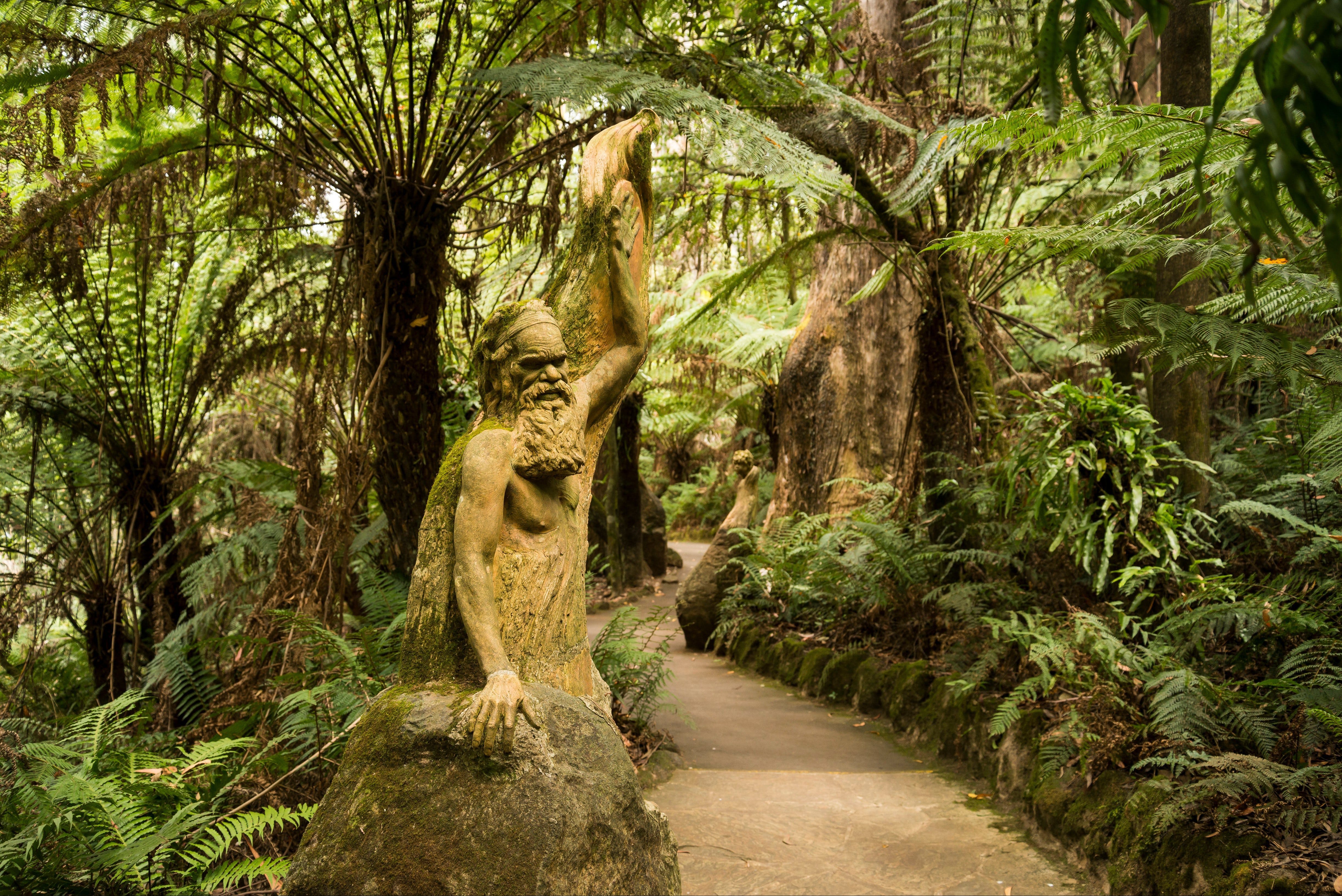 Mt Dandenong | Visit Yarra Valley & Dandenong Ranges