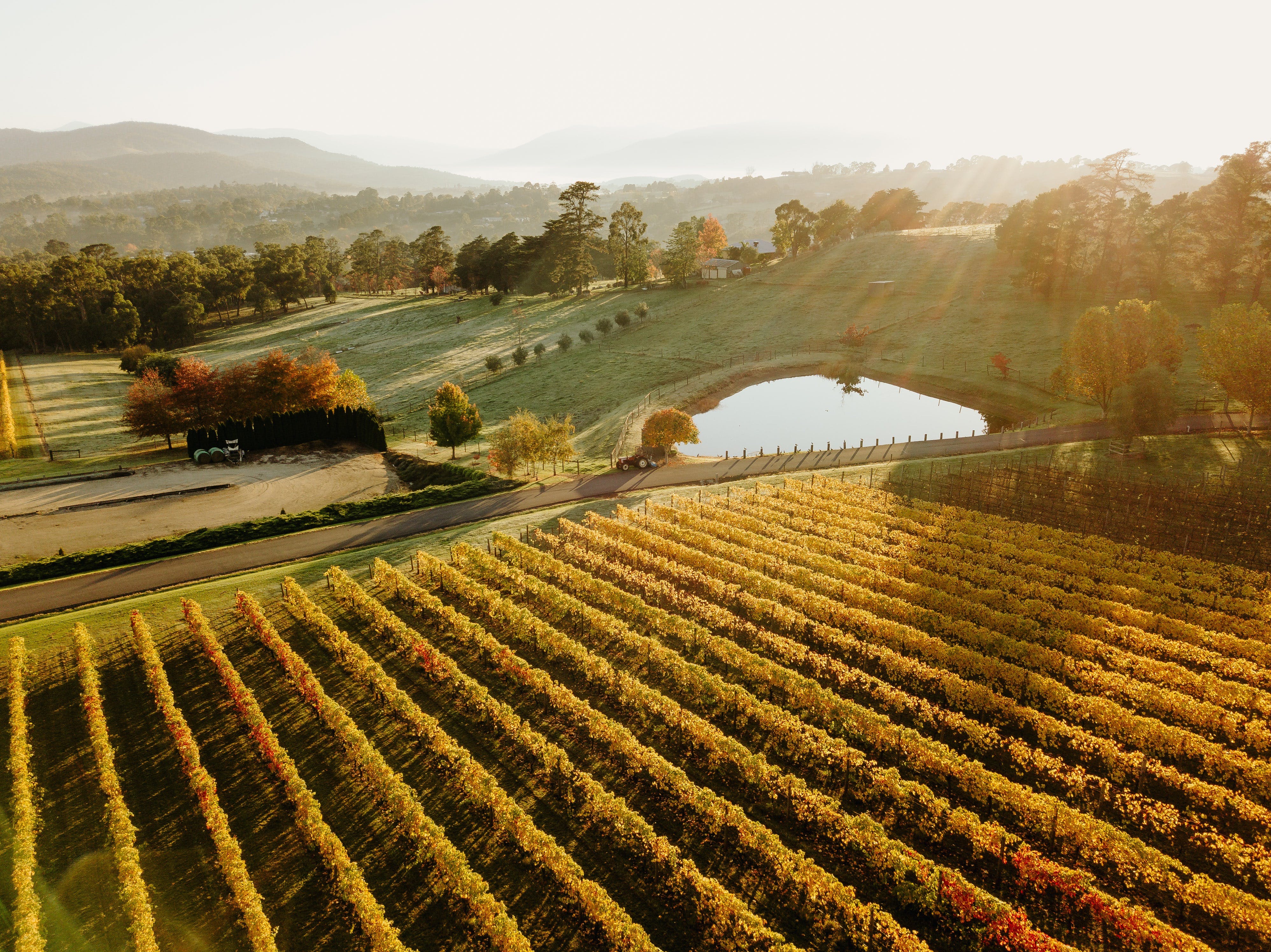 Payne's Rise Winery | Visit Yarra Valley & Dandenong Ranges