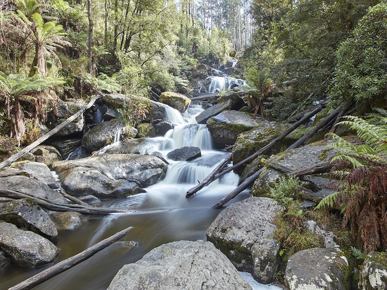 Lady Talbot Drive to Keppel… | Visit Yarra Valley & Dandenong Ranges