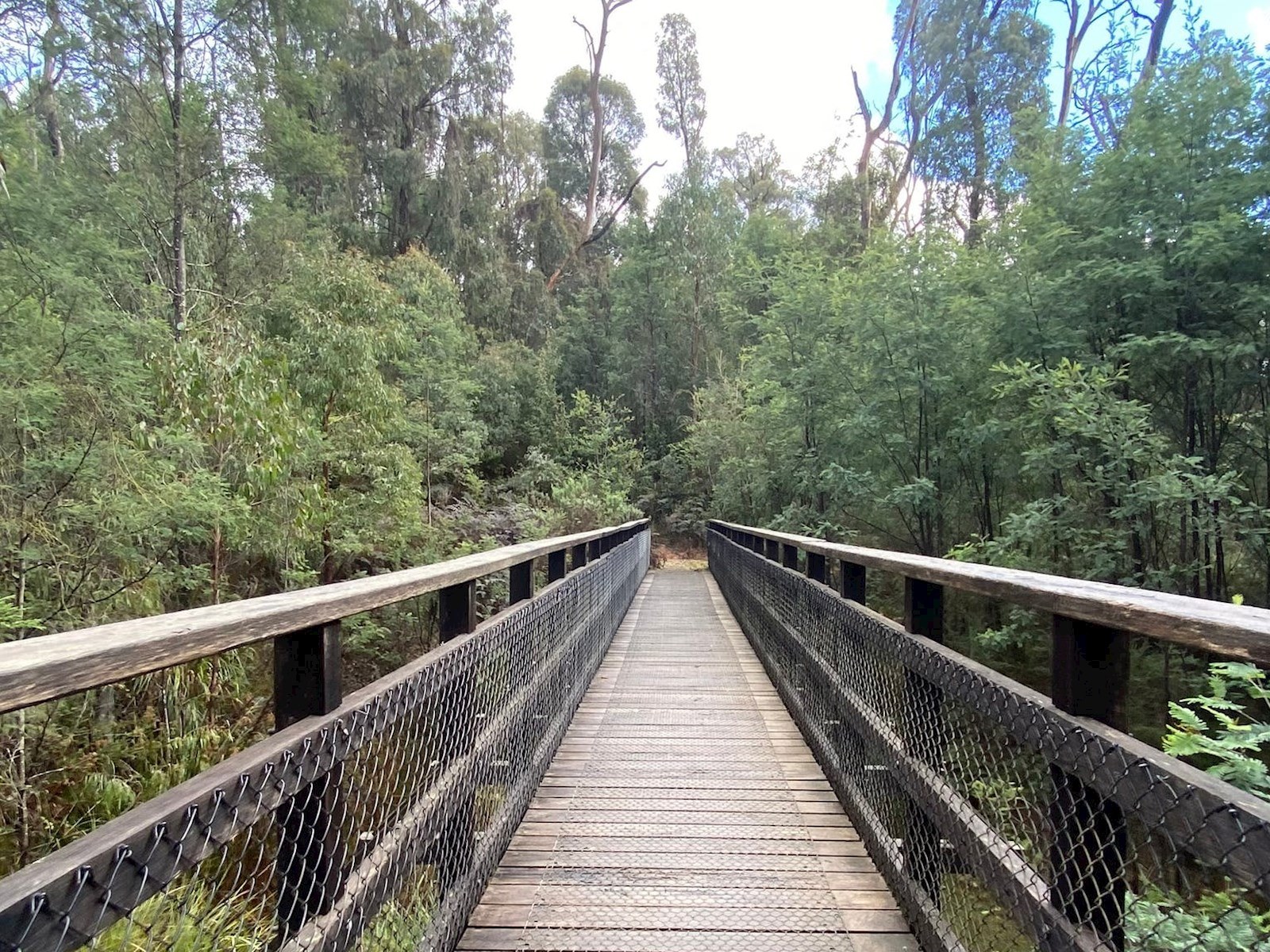 Lady Talbot Drive to… | Visit Yarra Valley & Dandenong Ranges