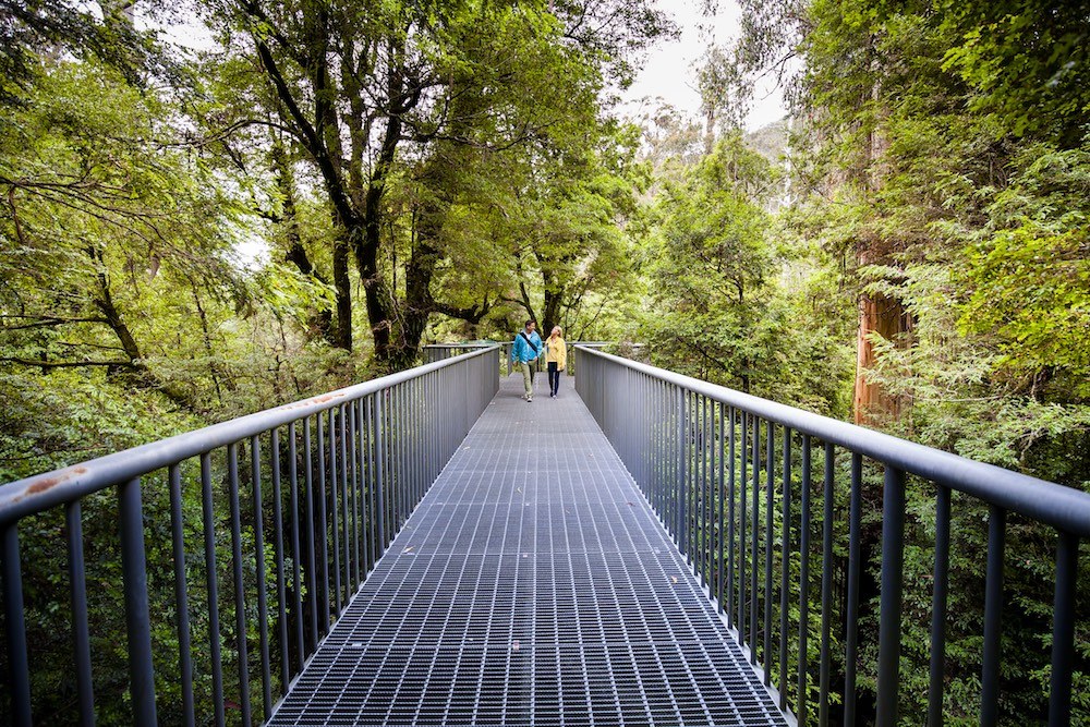 Warburton Rainforest Gallery | Visit Yarra Valley & Dandenong Ranges